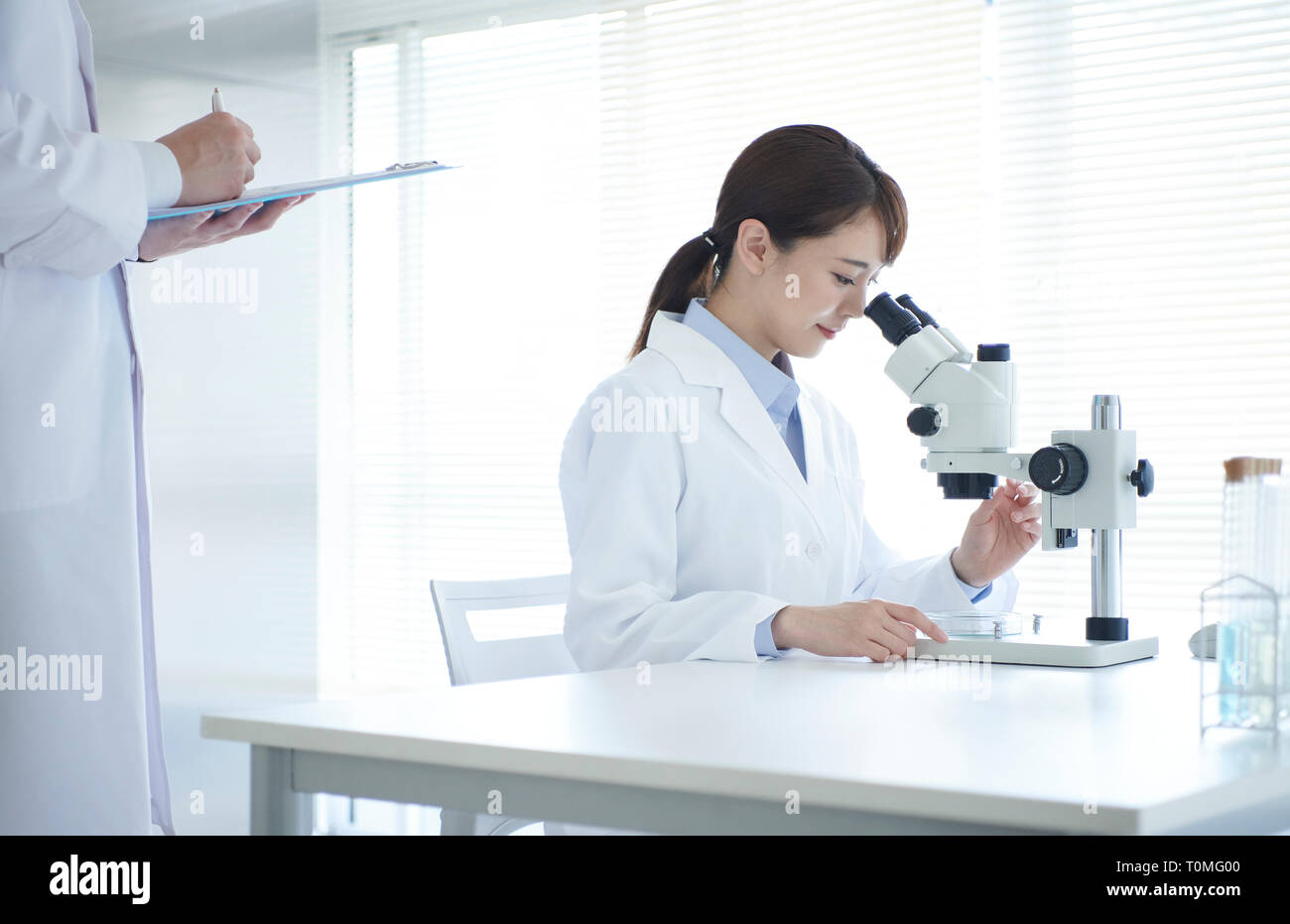 Japanese researchers in the lab Stock Photo - Alamy