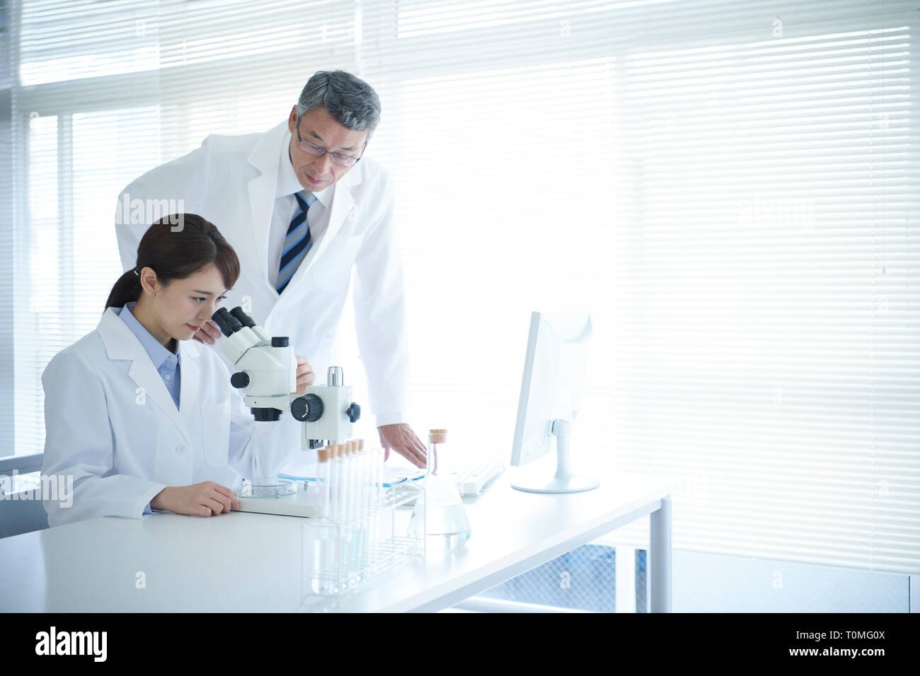 Japanese researchers in the lab Stock Photo - Alamy