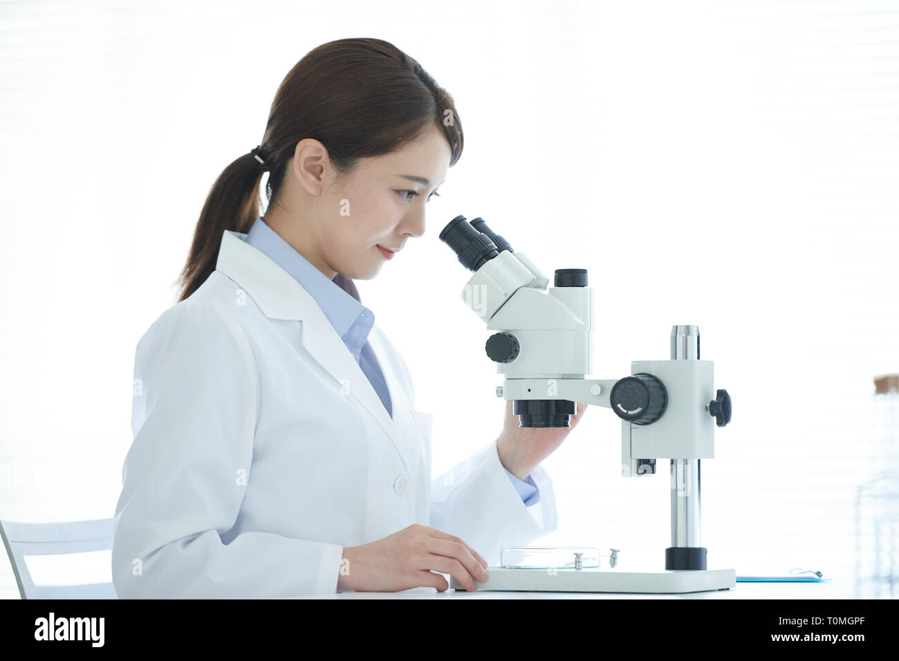 Young Japanese researcher in the lab Stock Photo - Alamy