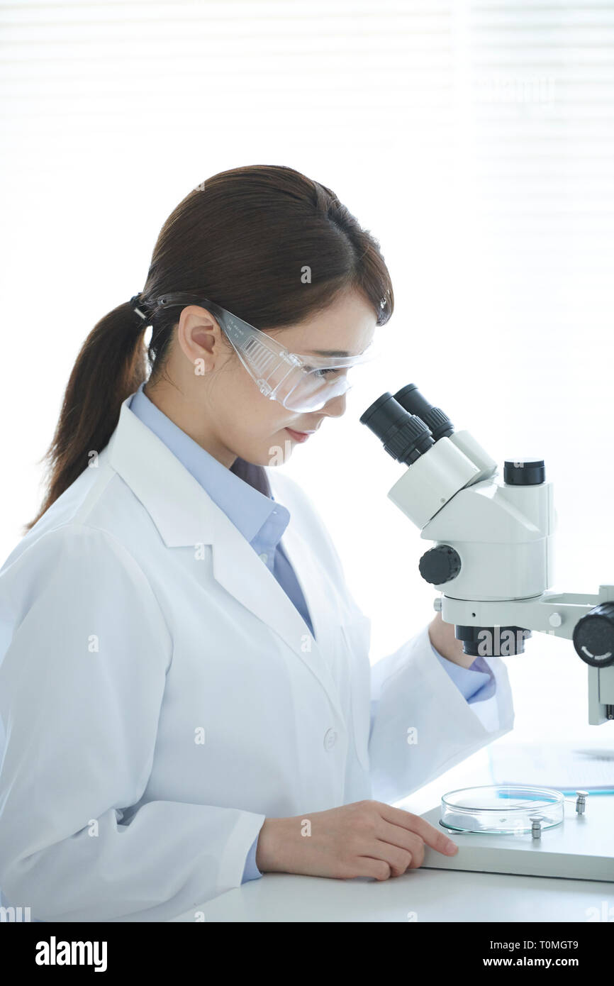 Young scientist lab japan hi-res stock photography and images - Alamy