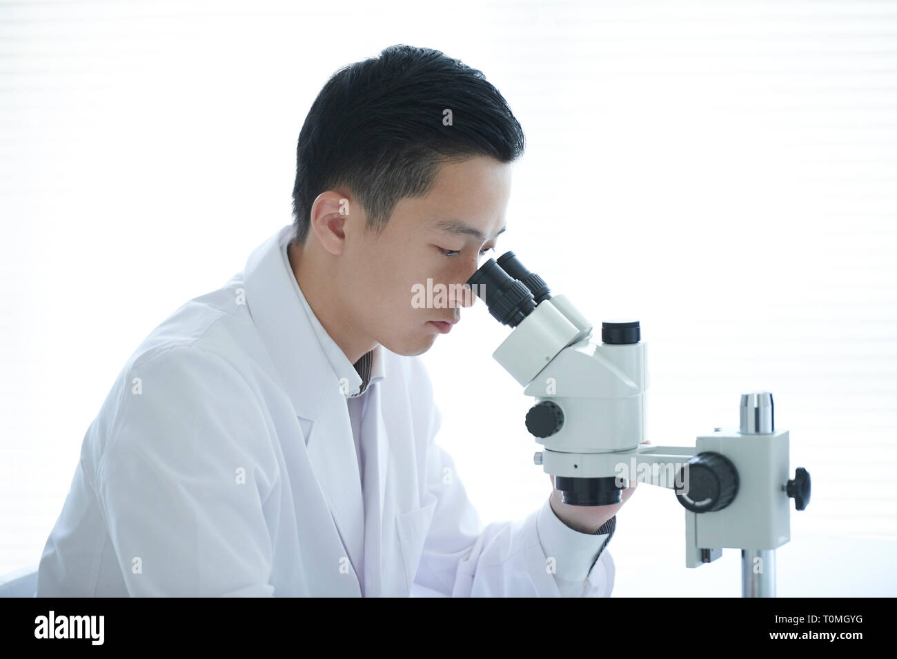 Young scientist lab japan hi-res stock photography and images - Alamy