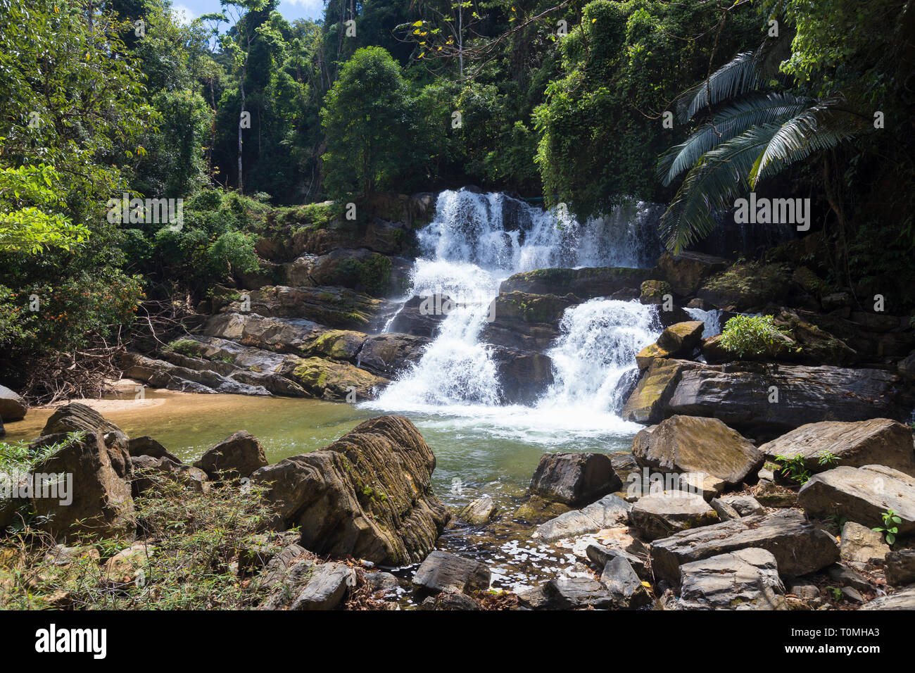 Ton tok hi-res stock photography and images - Alamy