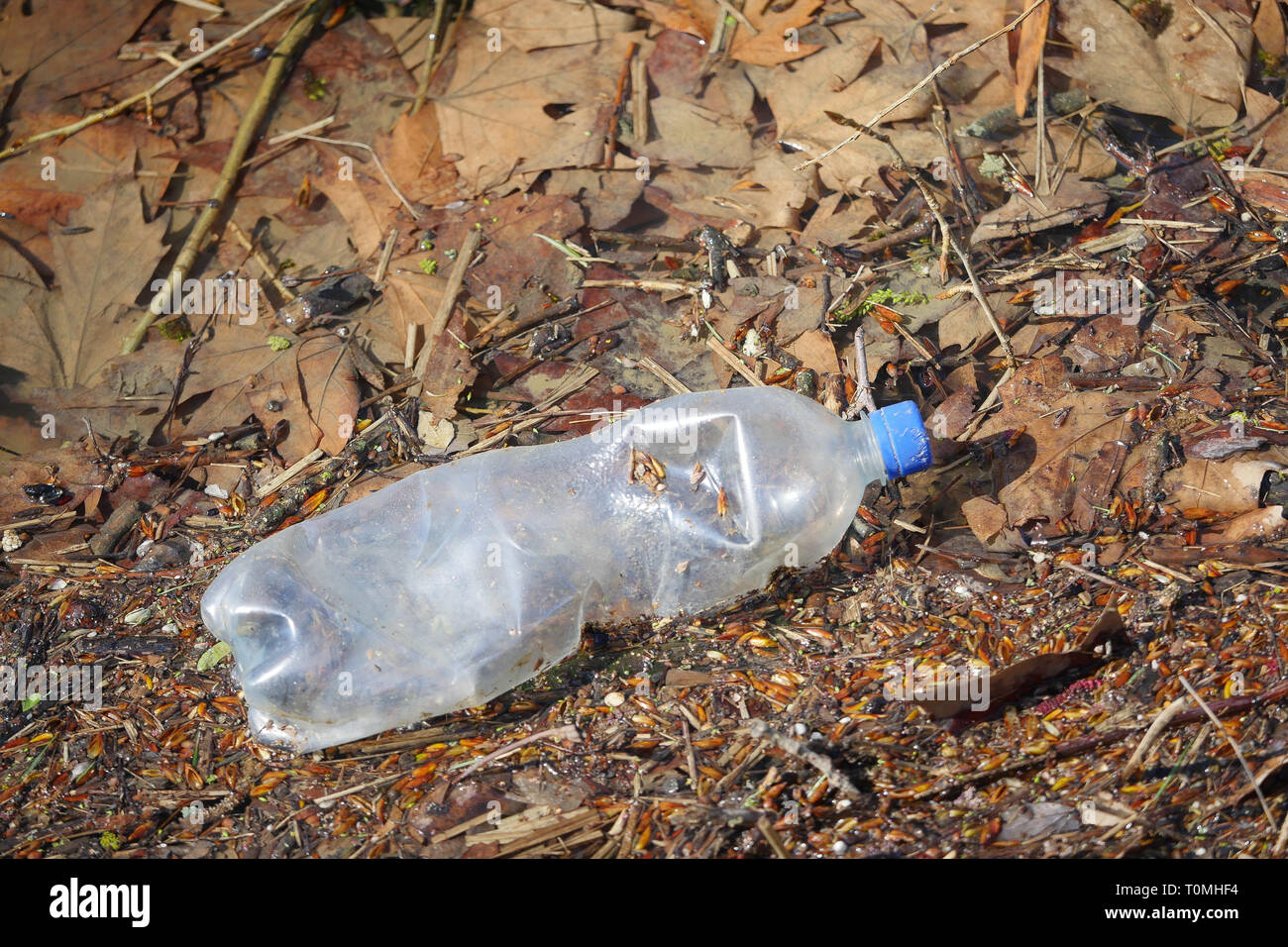 Environment: Pollution of the Saone river, Lyon, France Stock Photo - Alamy