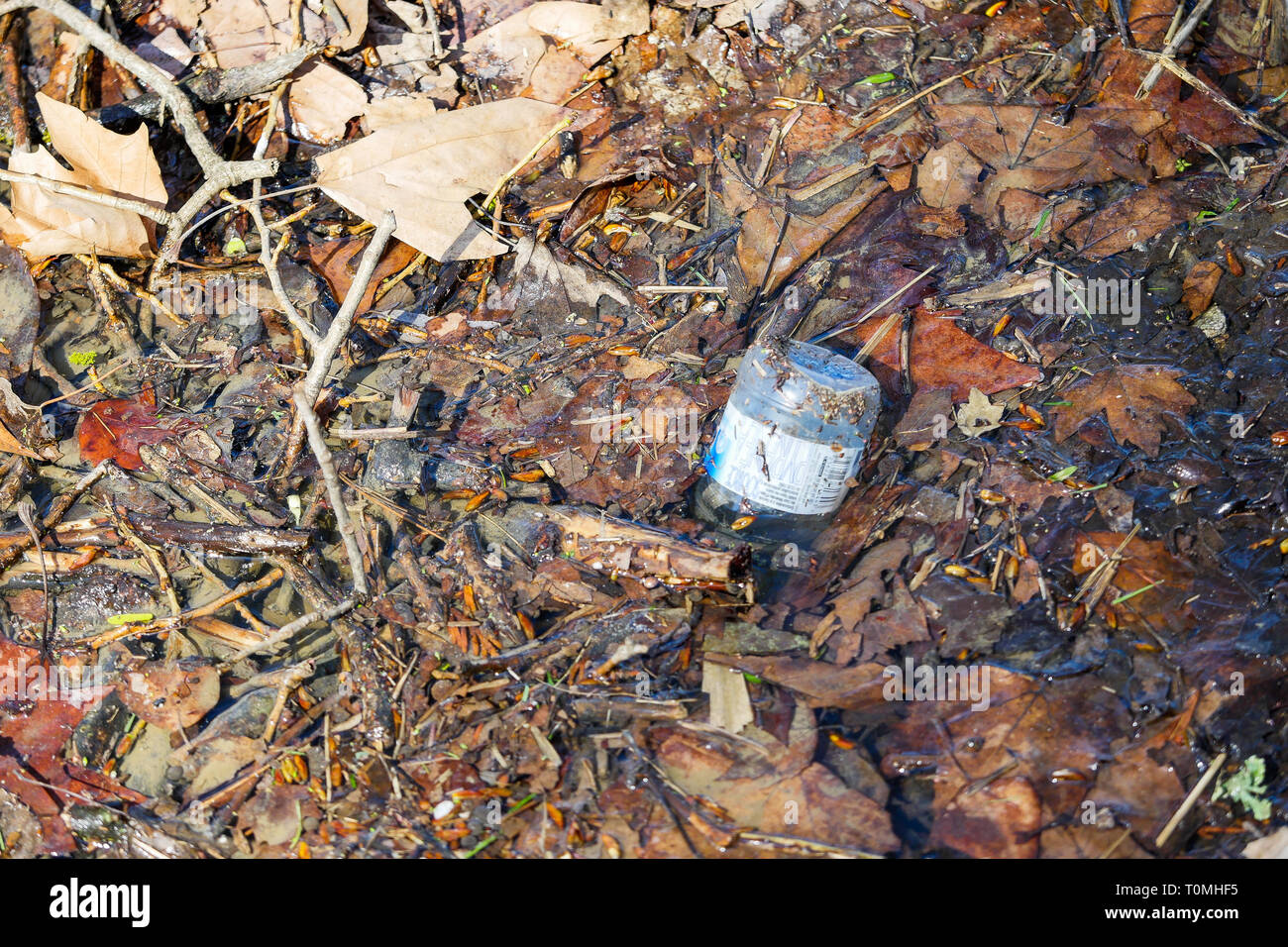 Environment: Pollution of the Saone river, Lyon, France Stock Photo - Alamy