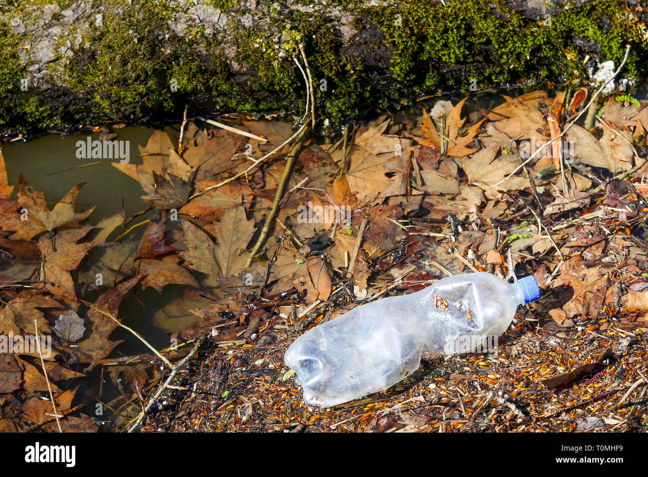 Environment: Pollution of the Saone river, Lyon, France Stock Photo - Alamy