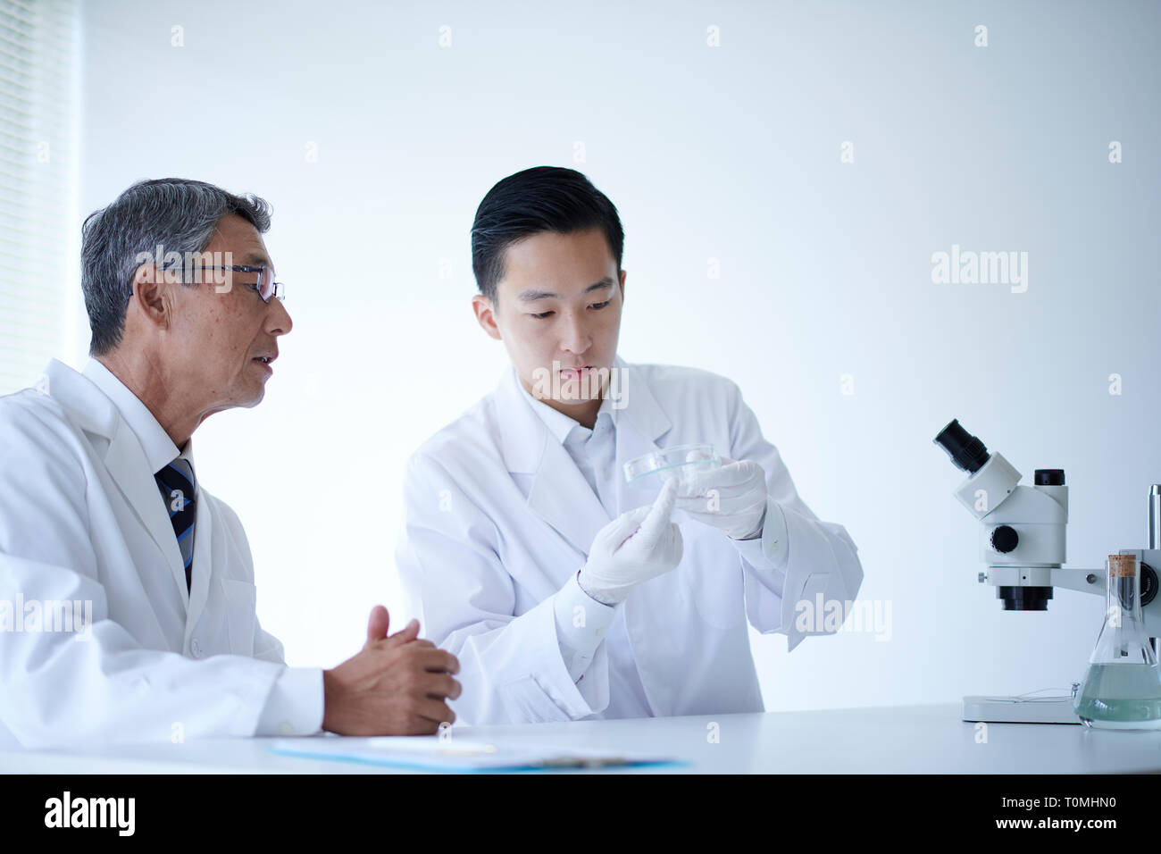 Japanese researchers in the lab Stock Photo - Alamy