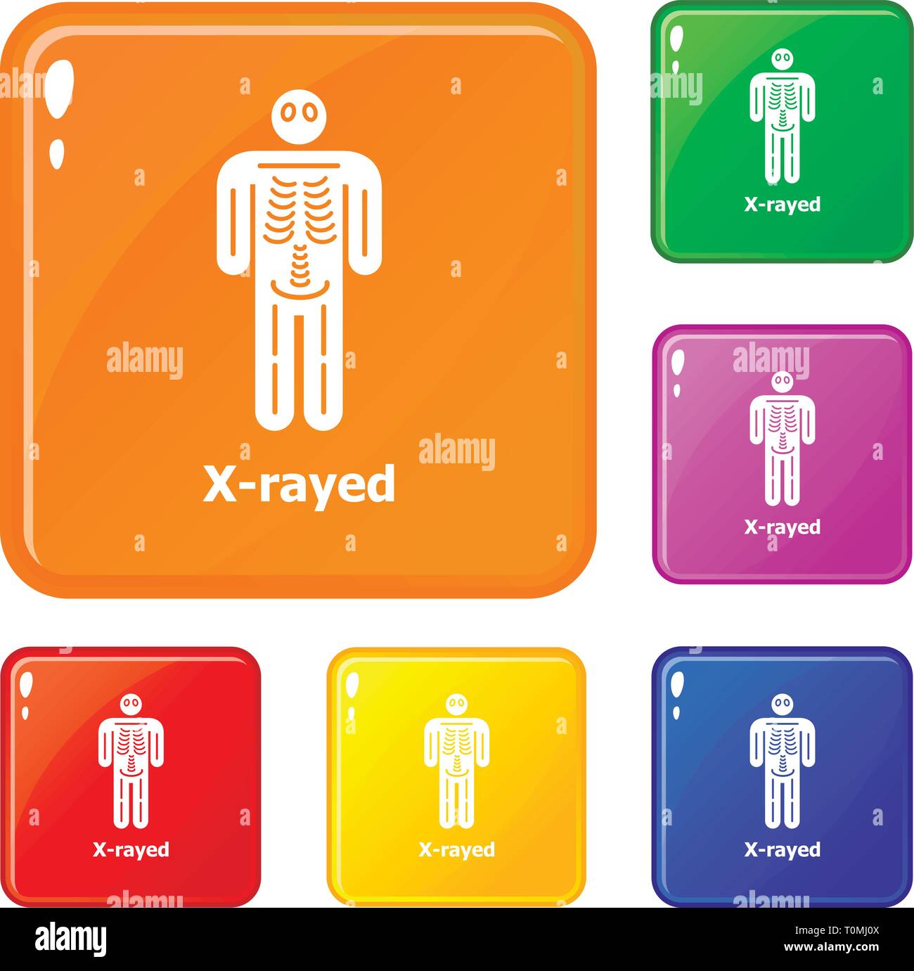 Xray icons set vector color Stock Vector Image & Art - Alamy