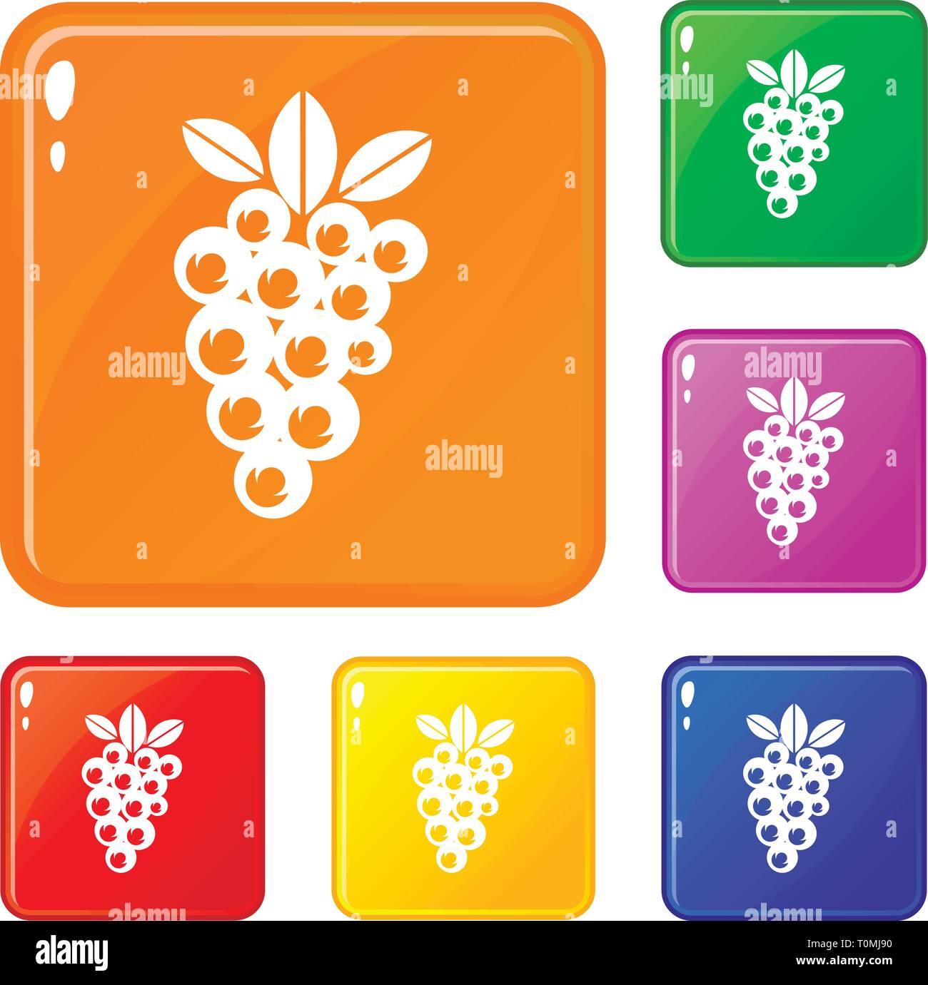 Wine grape icons set vector color Stock Vector Image & Art - Alamy