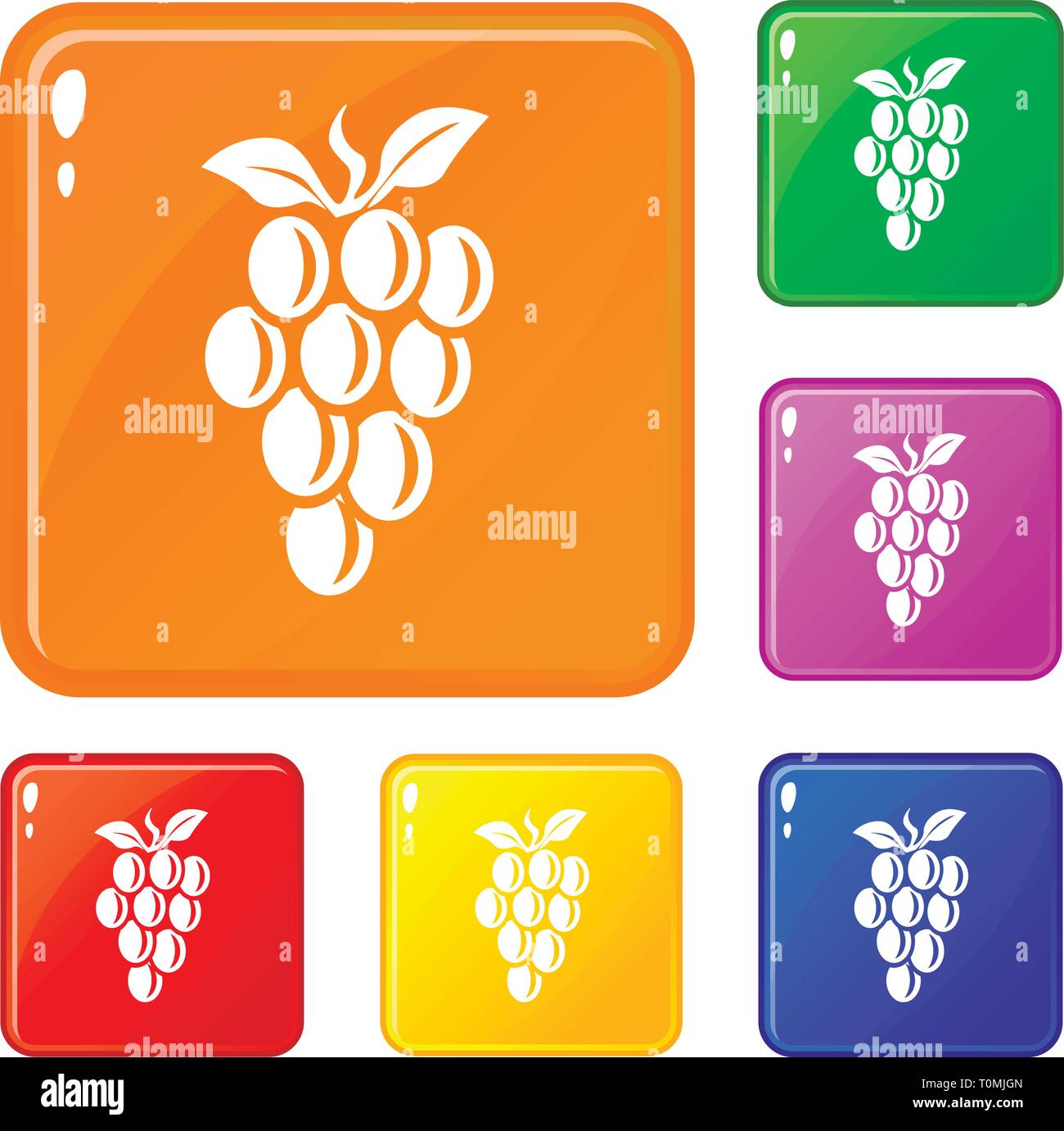 Natural grape icons set vector color Stock Vector Image & Art - Alamy
