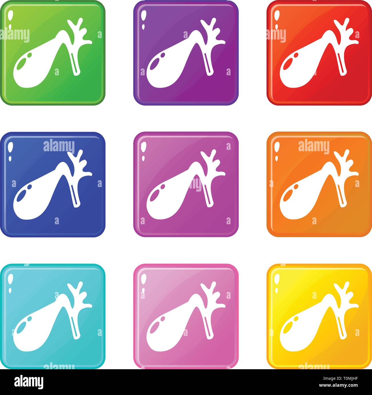 Gallbladder icons set 9 color collection Stock Vector Image & Art - Alamy
