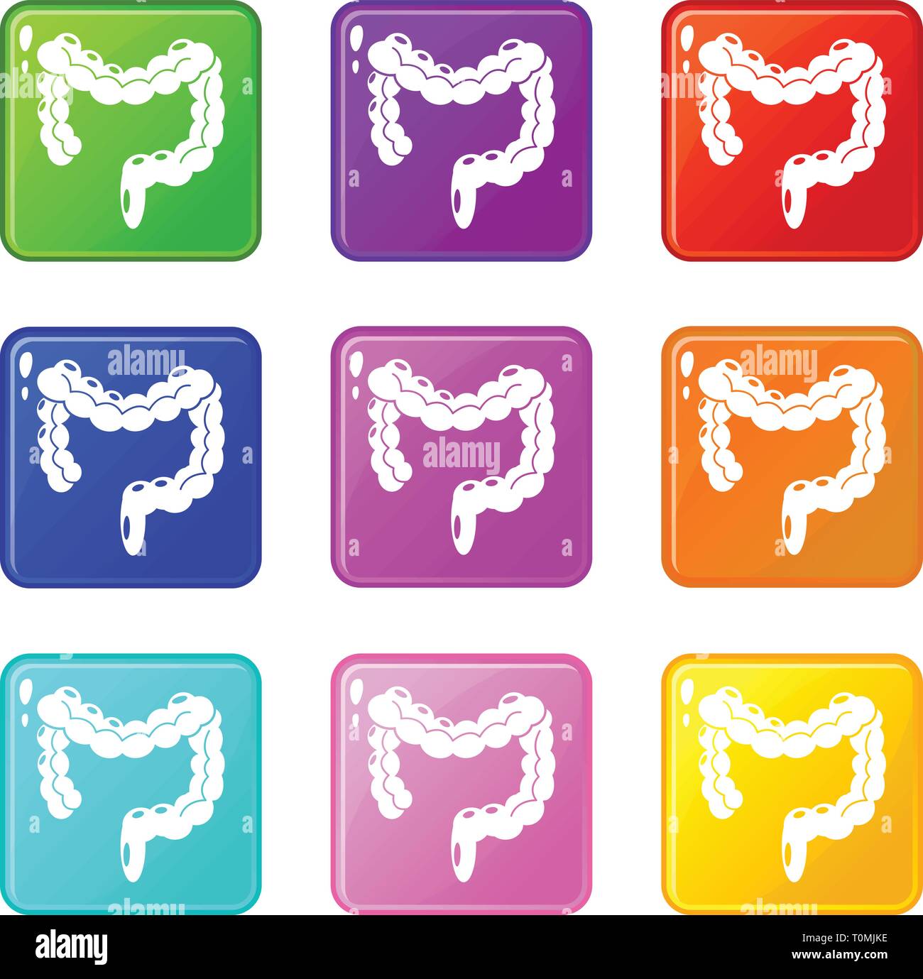 Human large intestine icons set 9 color collection Stock Vector Image ...