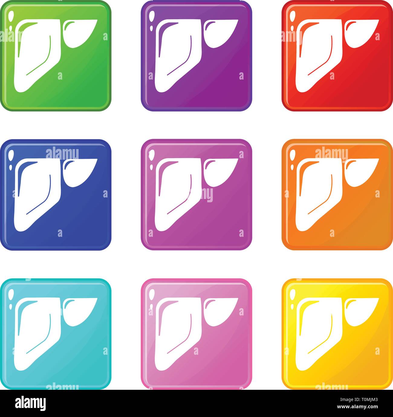Liver icons set 9 color collection Stock Vector Image & Art - Alamy