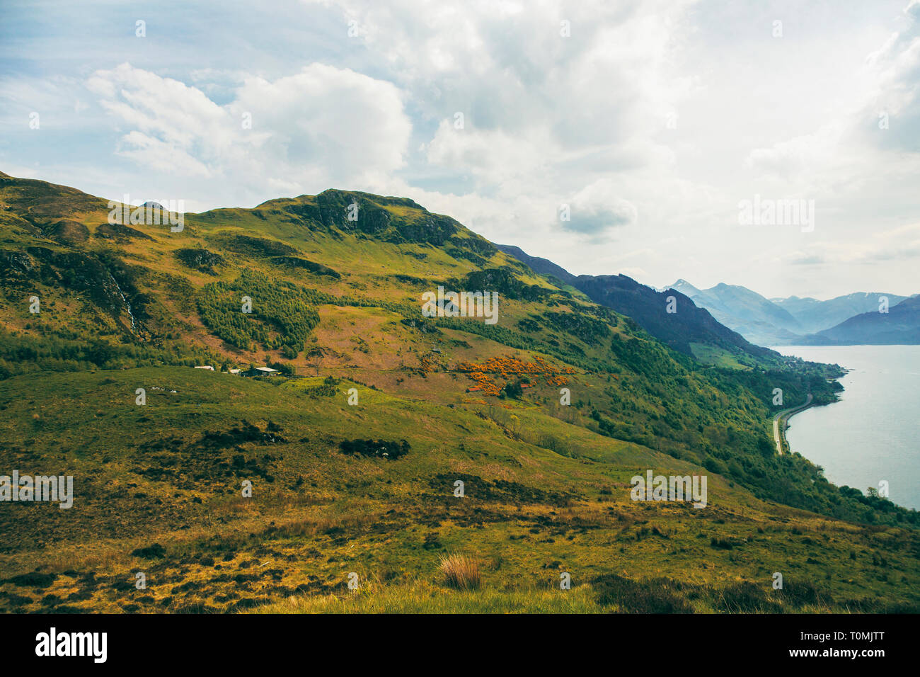 Scottish hillside hi-res stock photography and images - Alamy