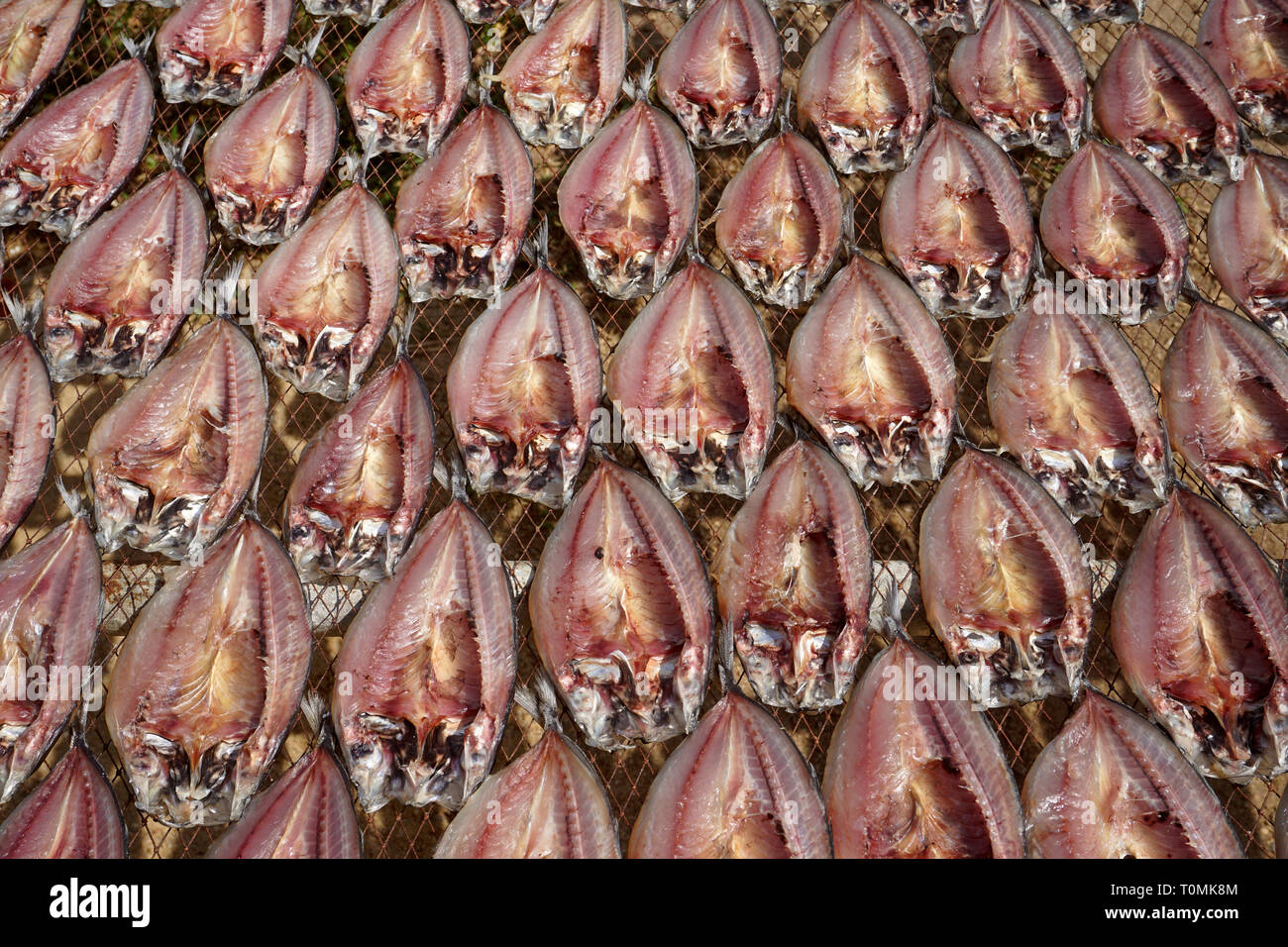 Fish dry rack hi-res stock photography and images - Alamy