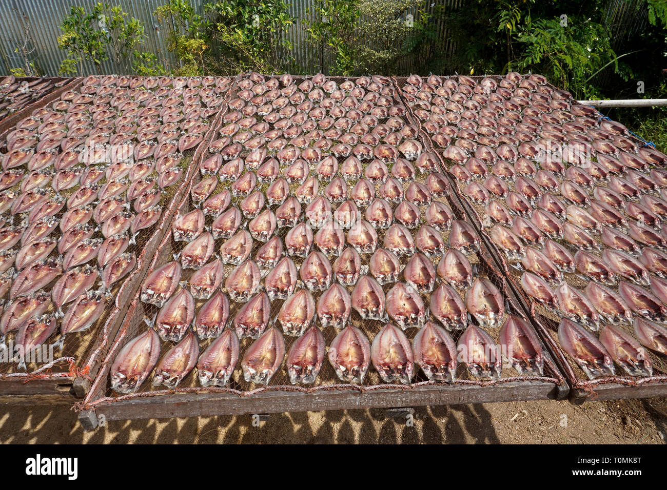 Fish dry rack hi-res stock photography and images - Alamy