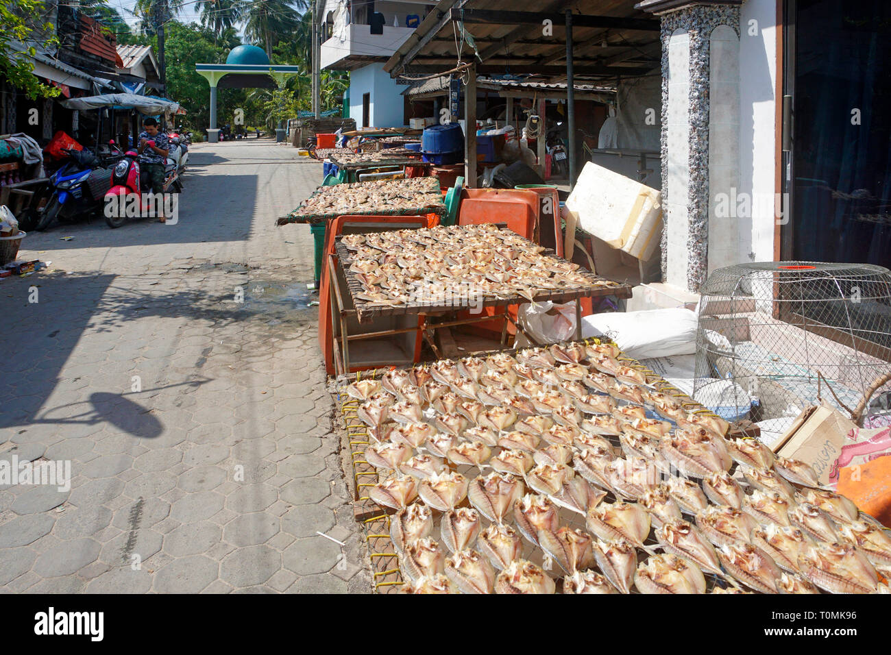 Raw fish, gutted and halved, is drying on a wire rack in the sun ...