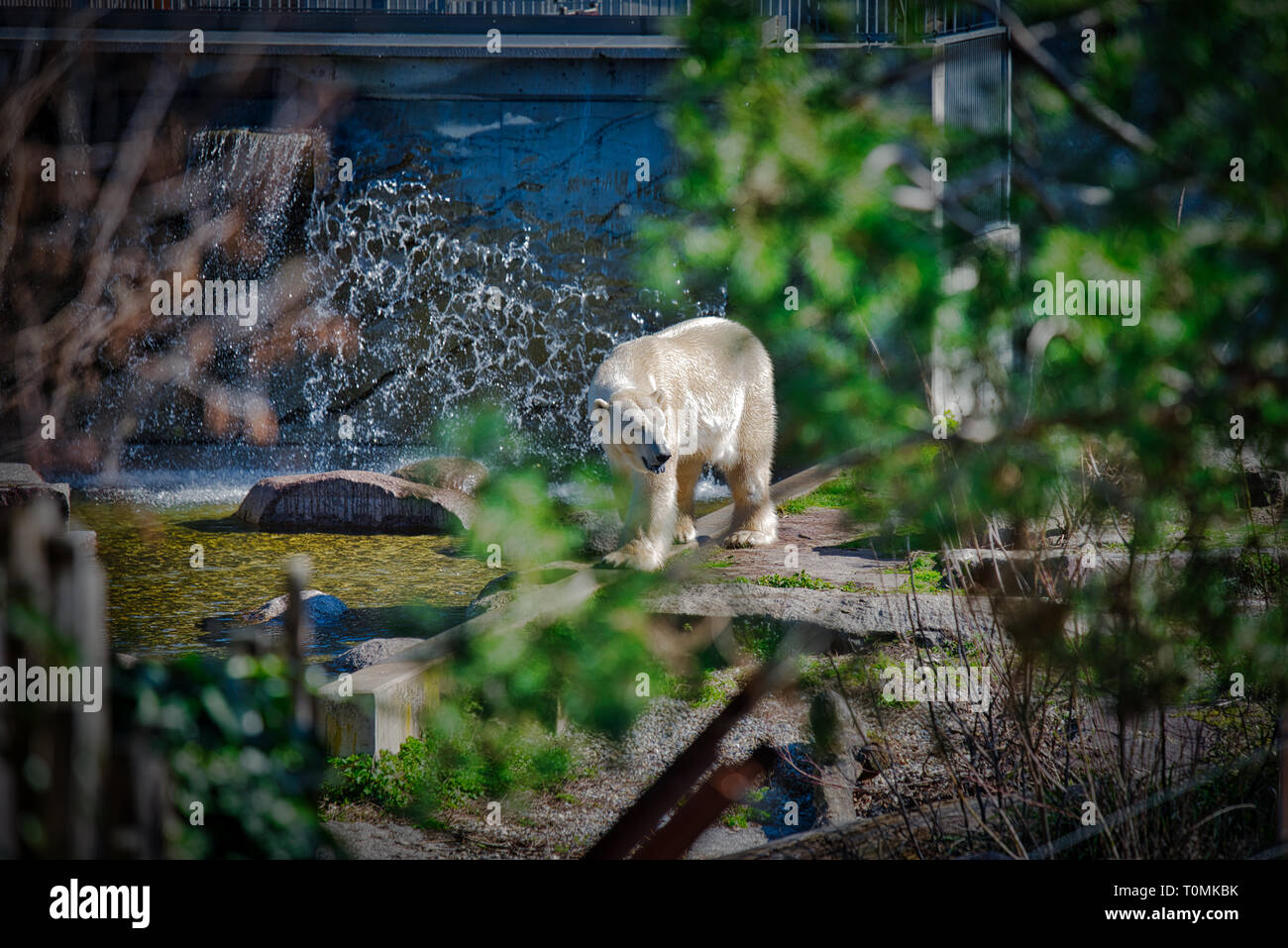 Mulhouse zoo hi-res stock photography and images - Alamy