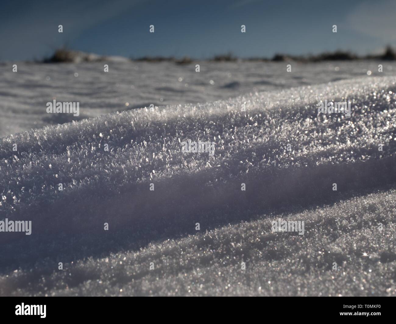 Sharp snow texture. Winter landscape, snow field sparkling in the sun ...