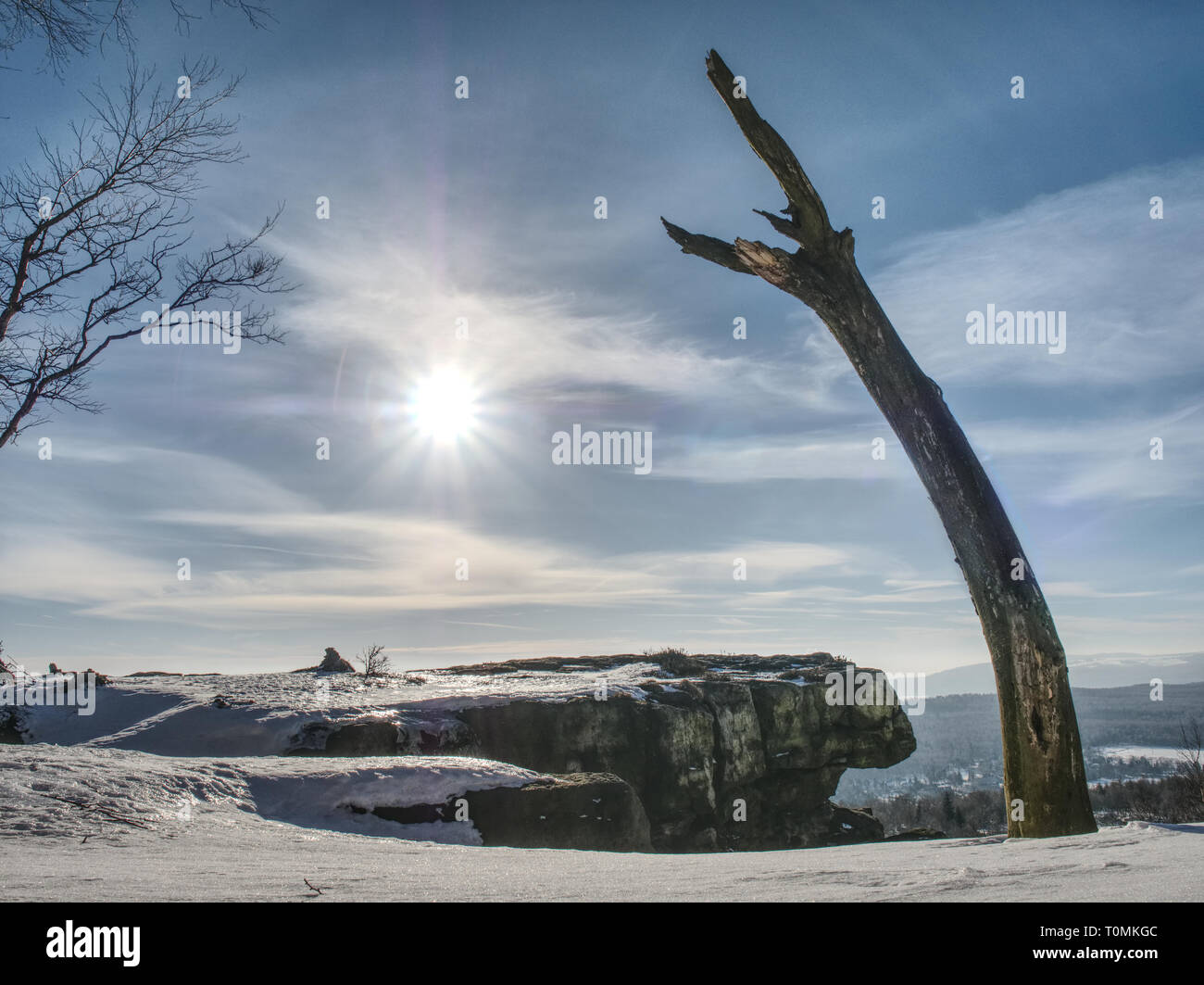 Bent birch tree snow hi-res stock photography and images - Alamy