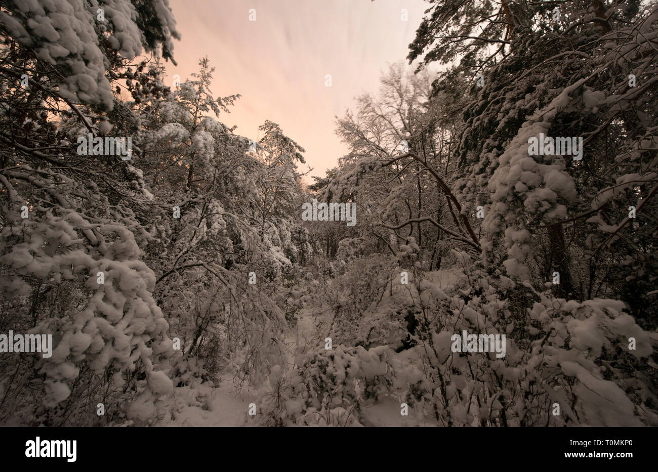 Sweden, Winter, coldest, season, regions, freezing, temperatures, ice ...