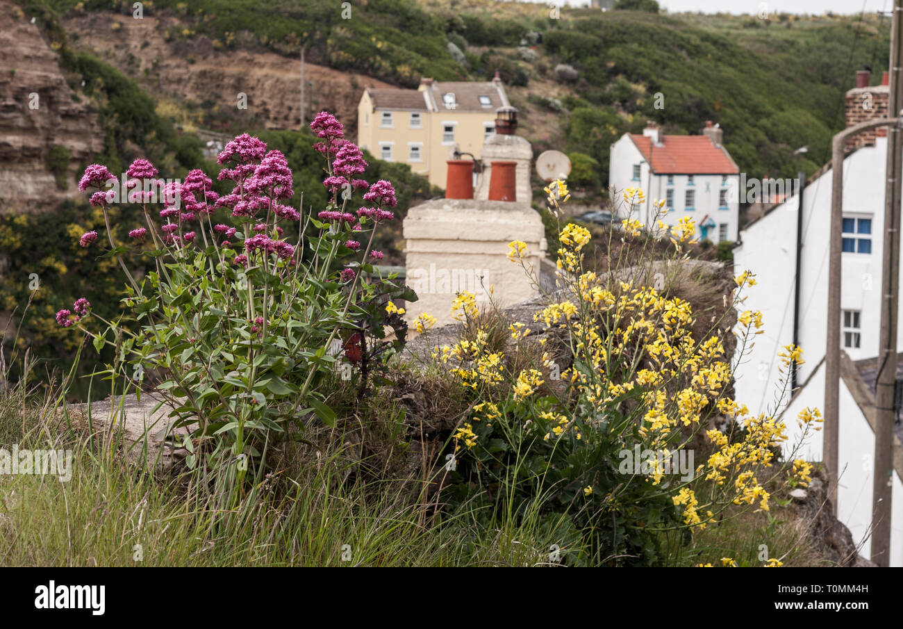 Quaint scenery hi-res stock photography and images - Alamy