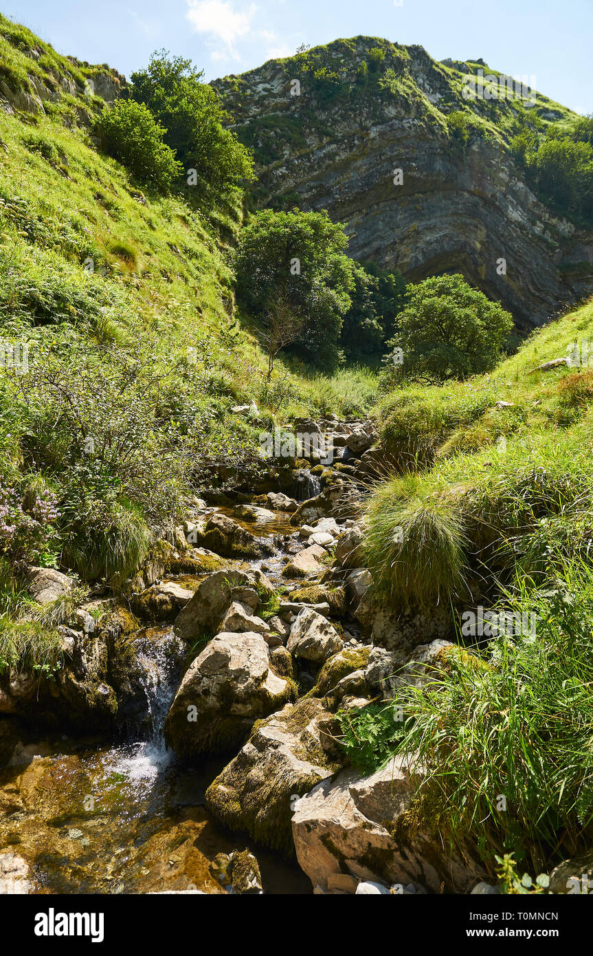Anticline