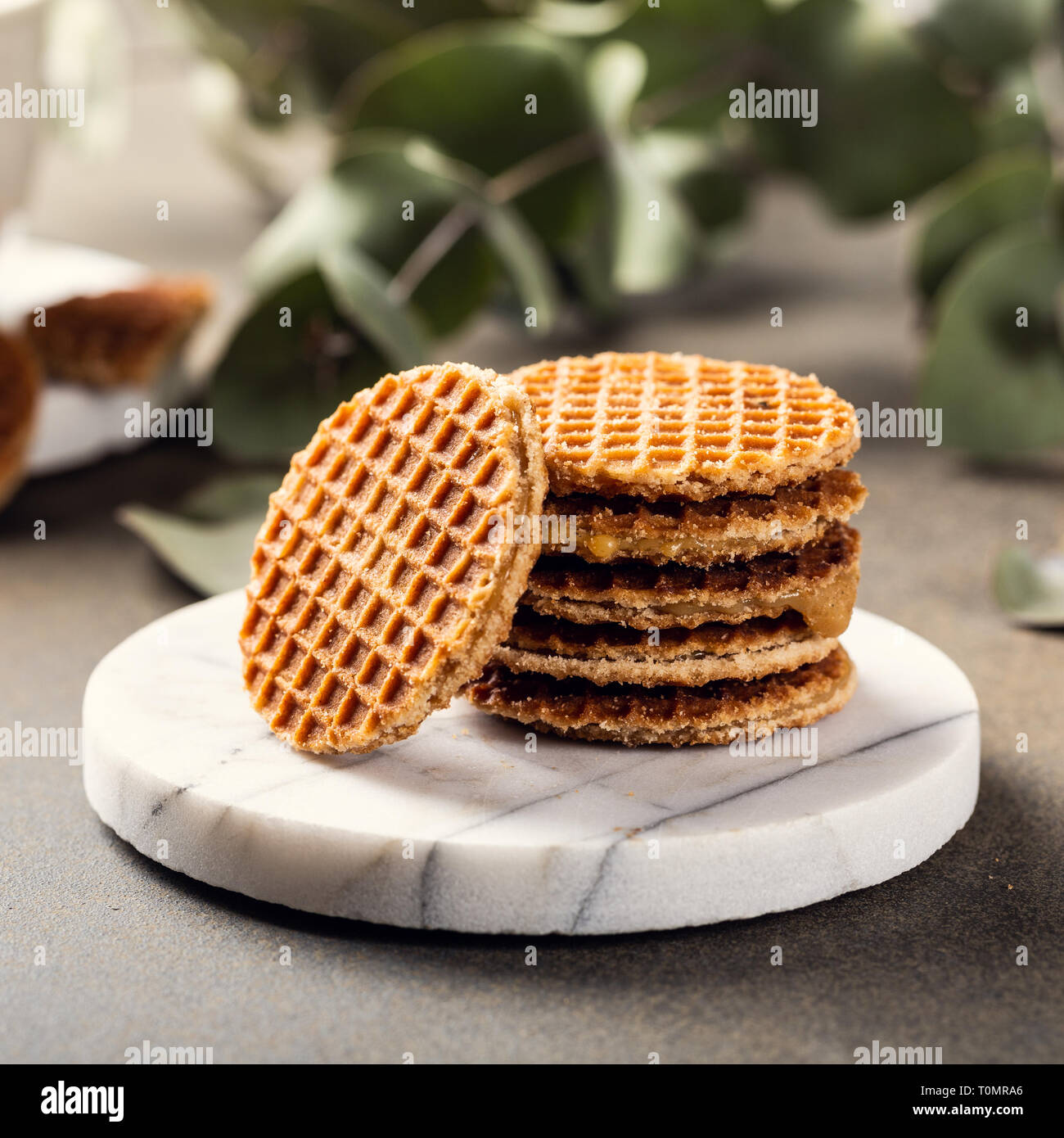 Stroopwafel cookies hi-res stock photography and images - Alamy