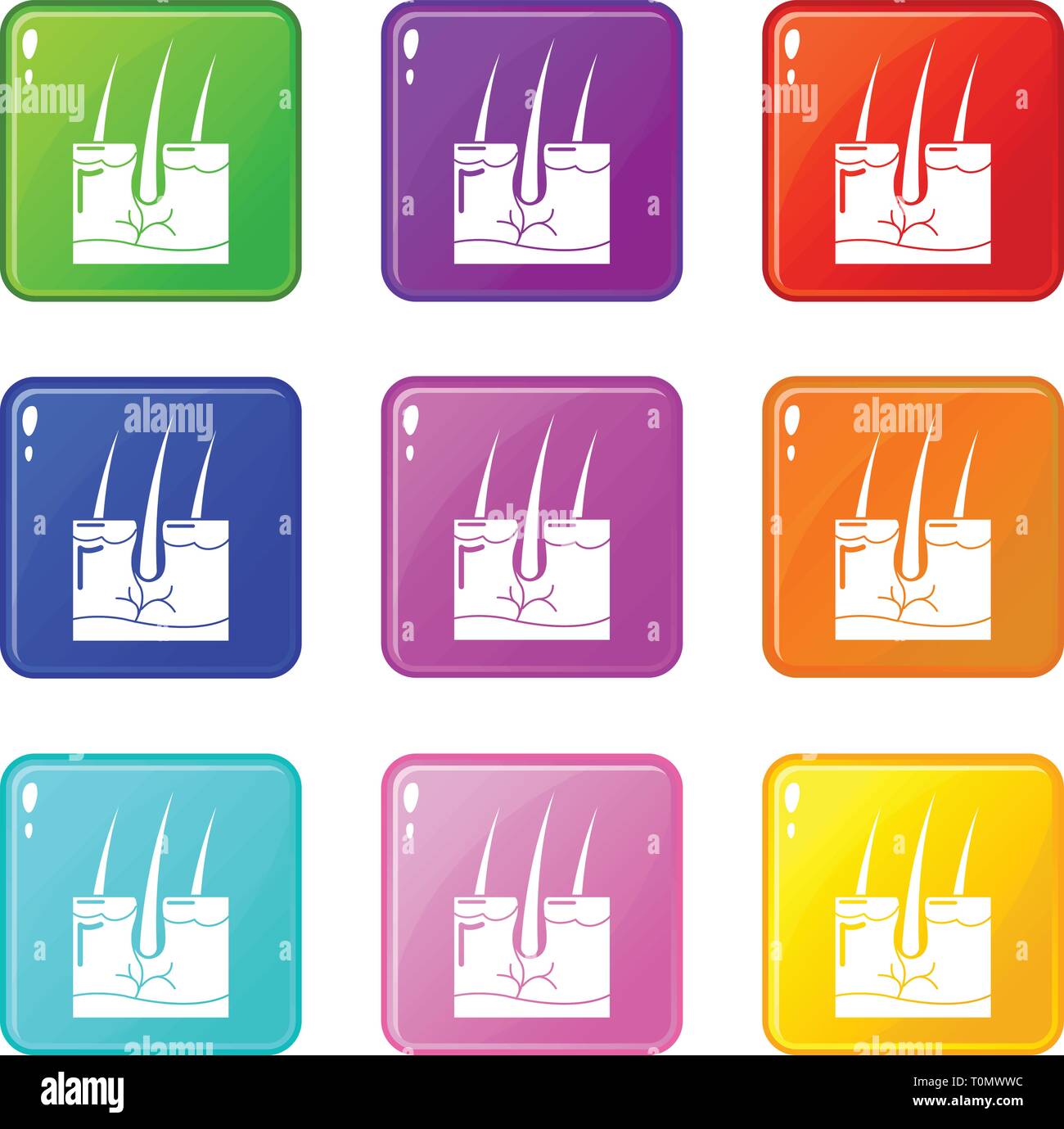 Hair skin icons set 9 color collection Stock Vector Image & Art - Alamy