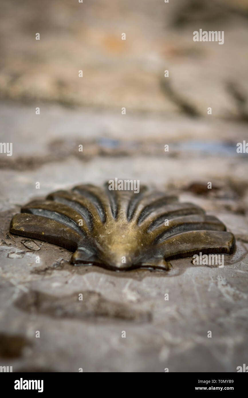 Camnio de compostela conch shell hi-res stock photography and images ...