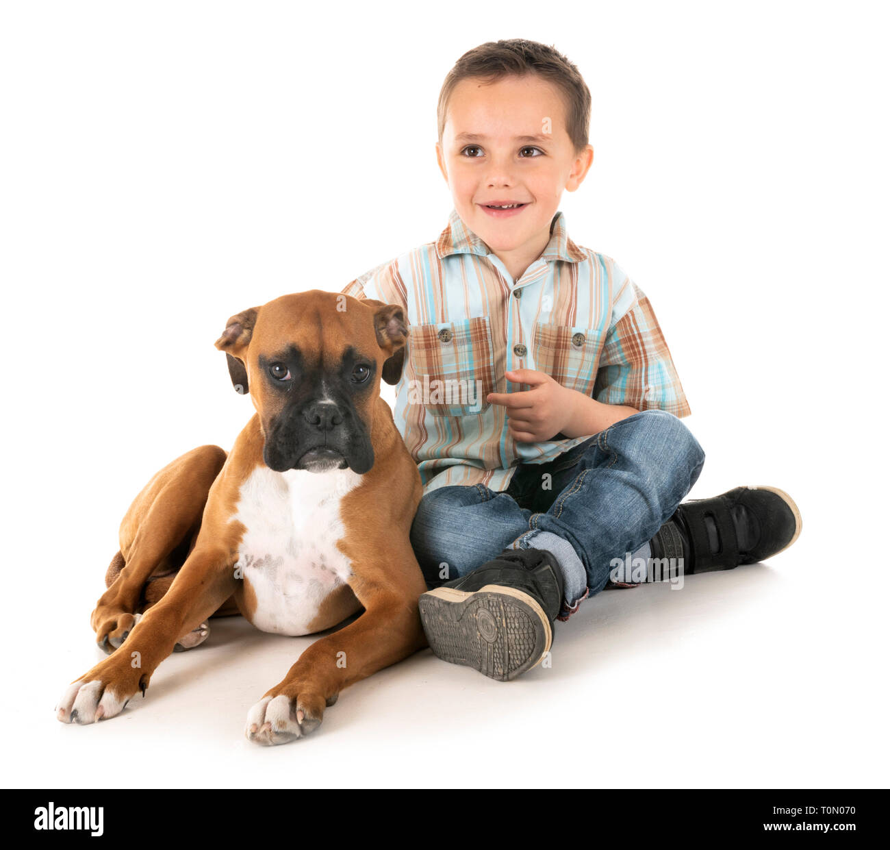 puppy boxer and child in front of white background Stock Photo - Alamy