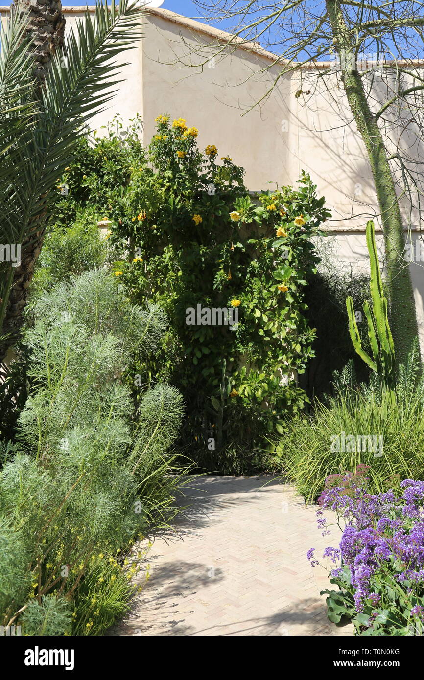 Exotic Garden, The Secret Garden, Rue Mouassine, Medina, Marrakesh ...