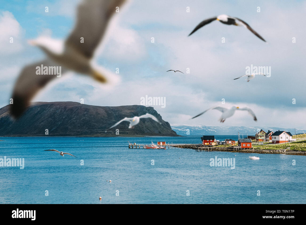 Panoramic aerial view of a nordic scandinavian scene with flying ...