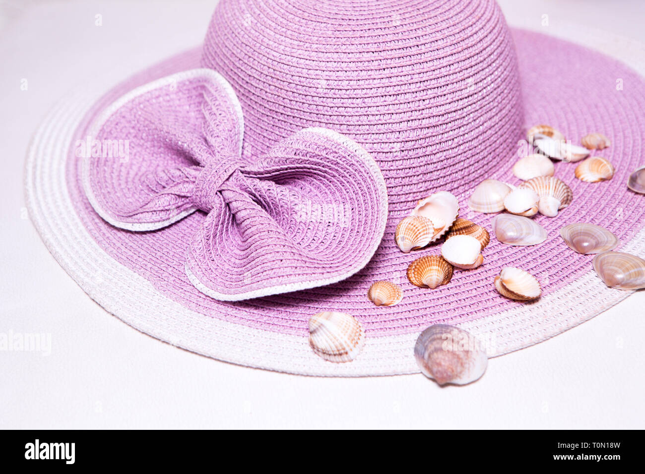 Collecting shells at the beach hi-res stock photography and images - Alamy