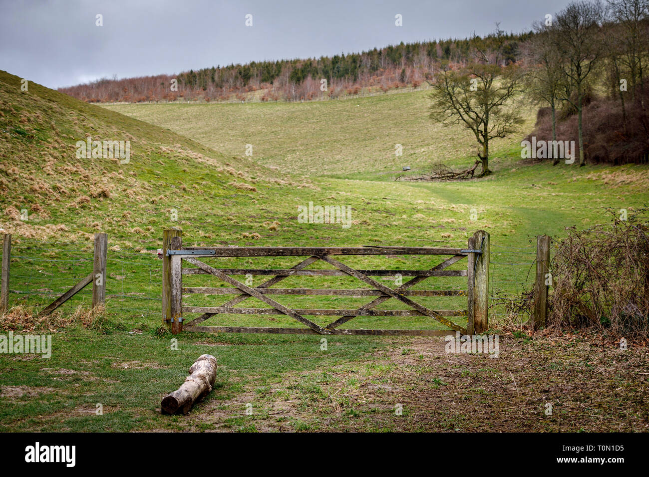 Gated field hi-res stock photography and images - Alamy