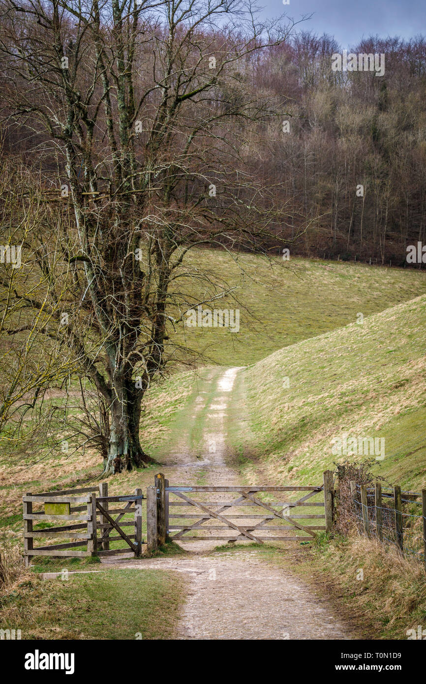 Non gated hi-res stock photography and images - Alamy