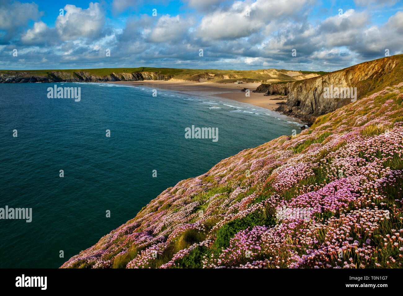 Holywell Bay; Cornwall; UK Stock Photo - Alamy