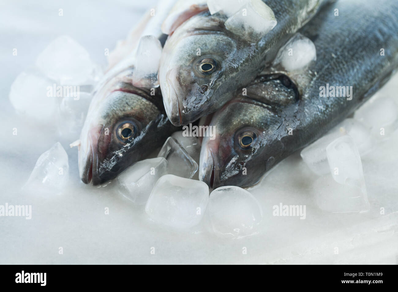 Authentic organic food. Fish Italian delishes in fishmarket Stock Photo ...
