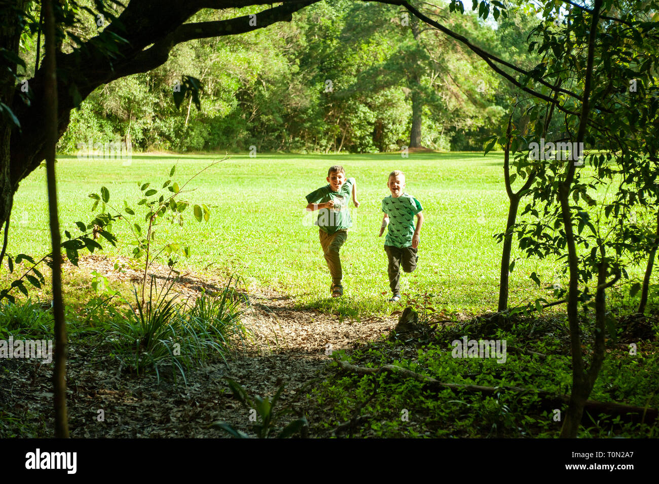 Boys running through forest hi-res stock photography and images - Alamy