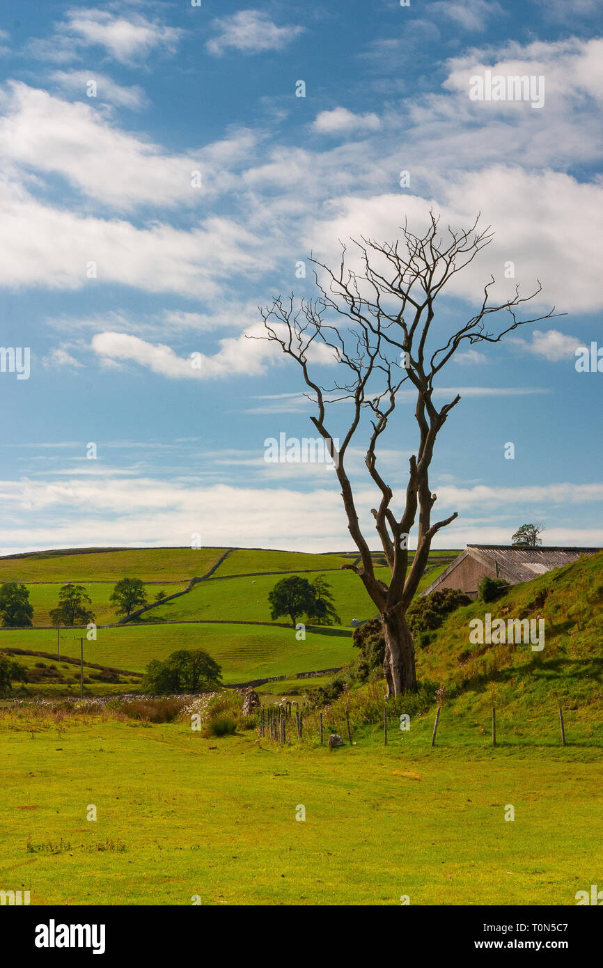 The typical landscape in Yorkshire Dales National Park, Great Britain ...