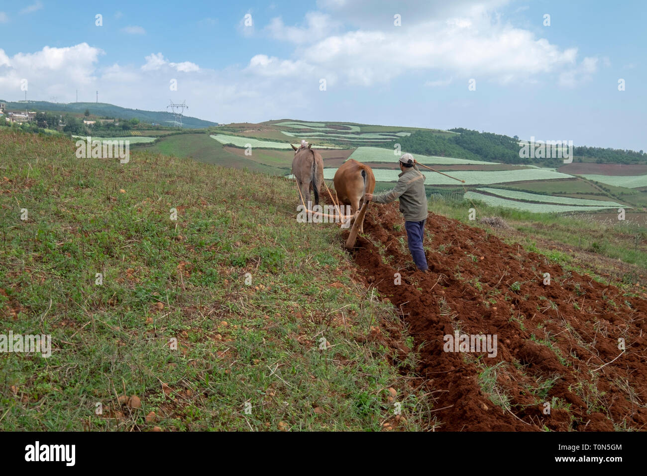 Terraced farming plots hi-res stock photography and images - Alamy