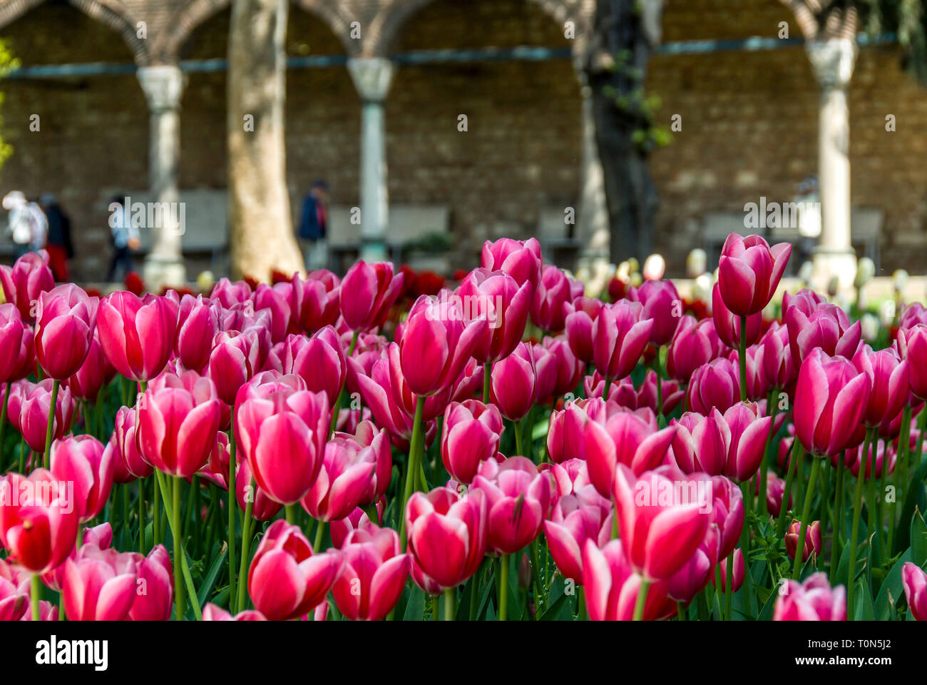 Closeup topkapi palace hi-res stock photography and images - Alamy