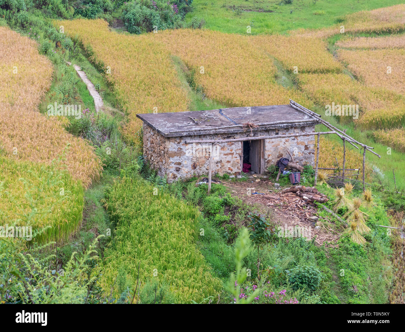 Ancient chinese irrigation hi-res stock photography and images - Alamy