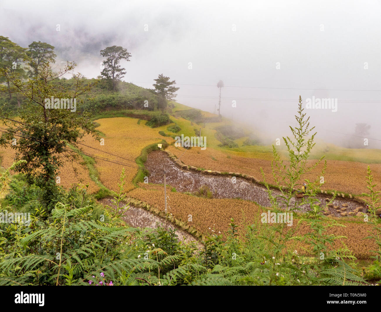 Ancient Chinese Irrigation High Resolution Stock Photography and Images ...