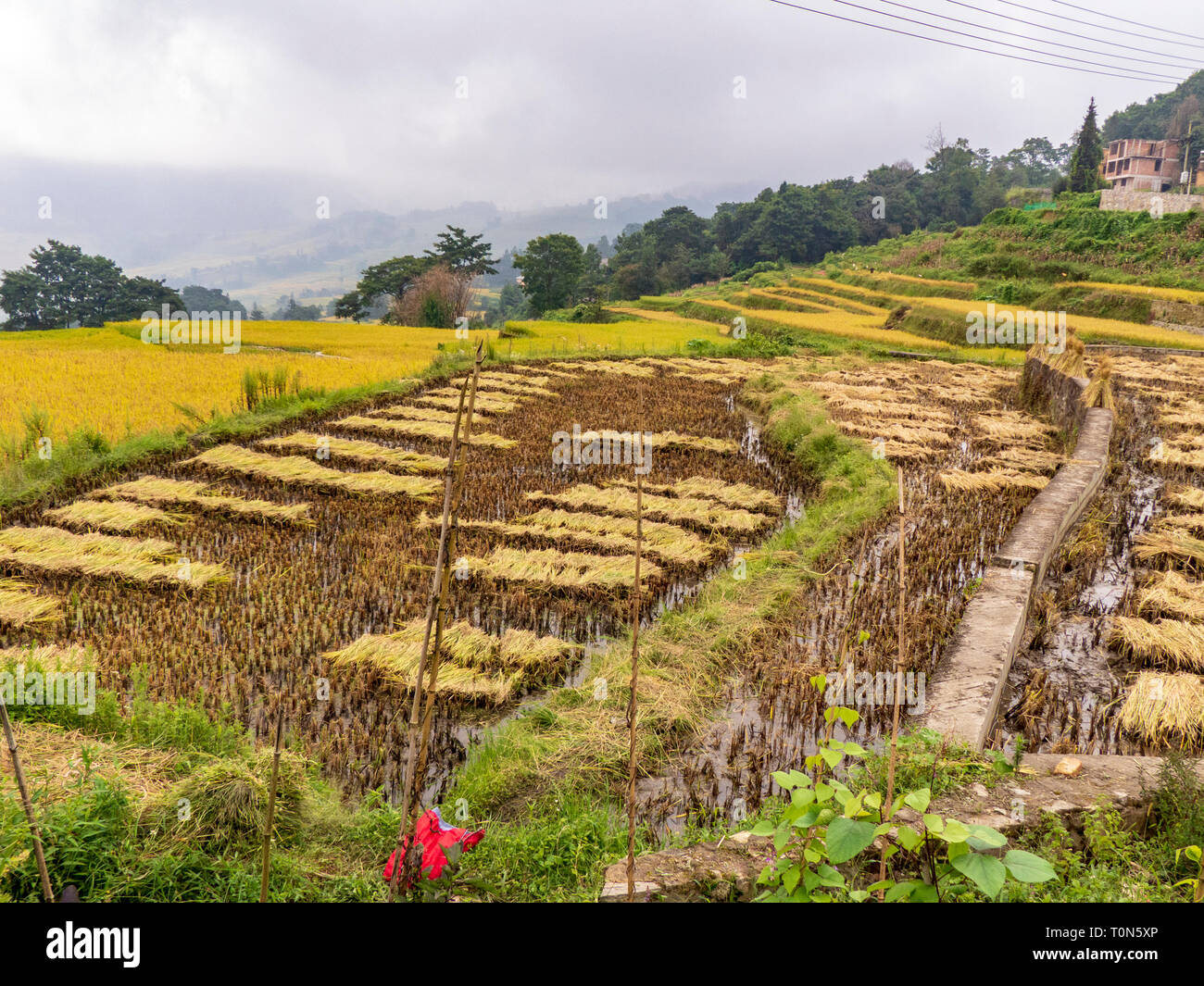 Ancient chinese irrigation hi-res stock photography and images - Alamy