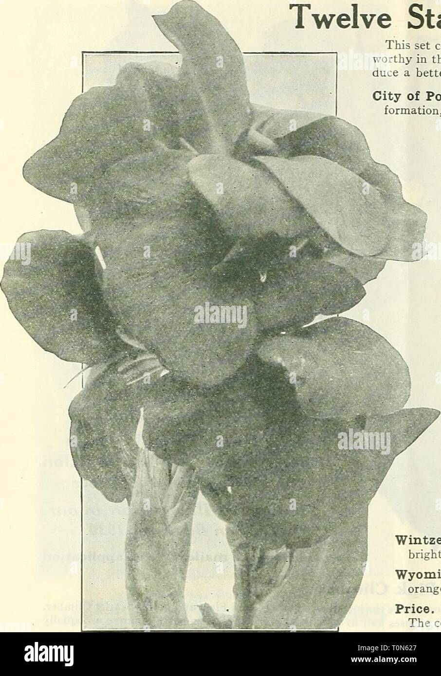 Abridged list hi-res stock photography and images - Alamy