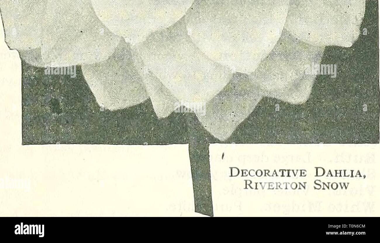 Abridged list hi-res stock photography and images - Alamy