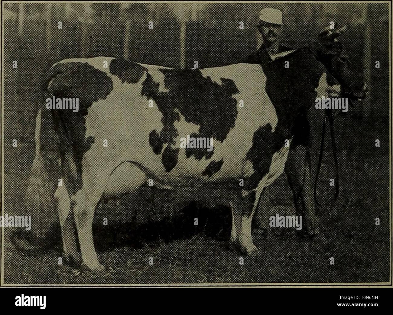 Dr david roberts hi-res stock photography and images - Alamy