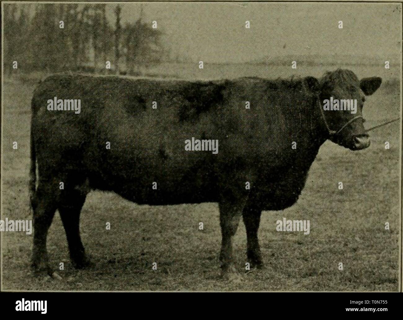 Two types of mixture hi-res stock photography and images - Alamy