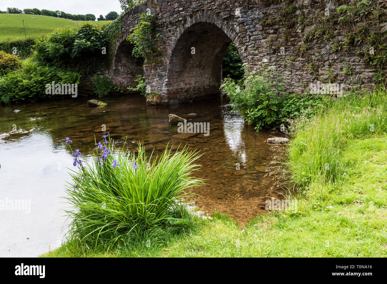 Doone valley hi-res stock photography and images - Alamy