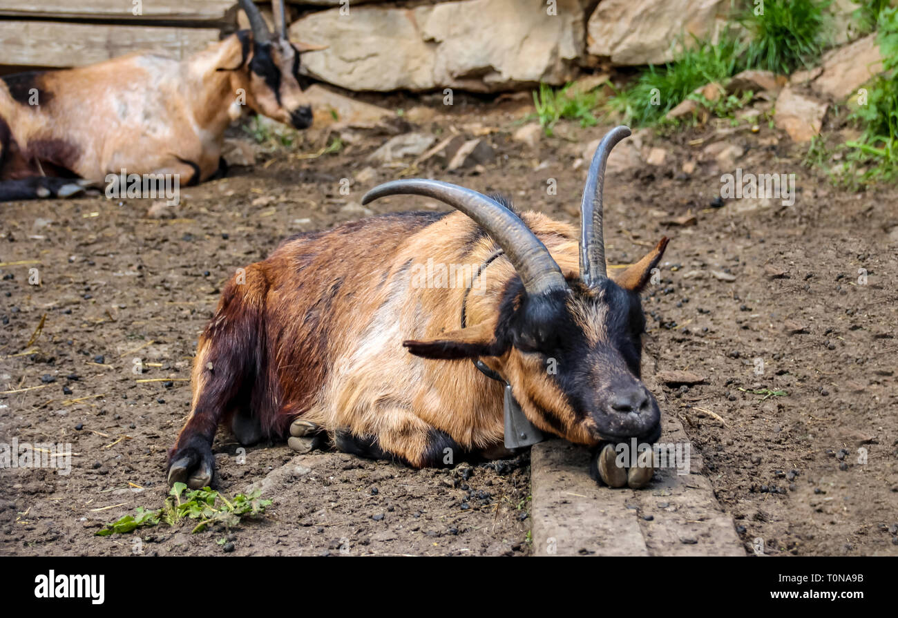 Sleeping on clouds hi-res stock photography and images - Alamy
